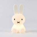 Nightlight Miffy - Mr. Mary – IT'S A PRESENT!